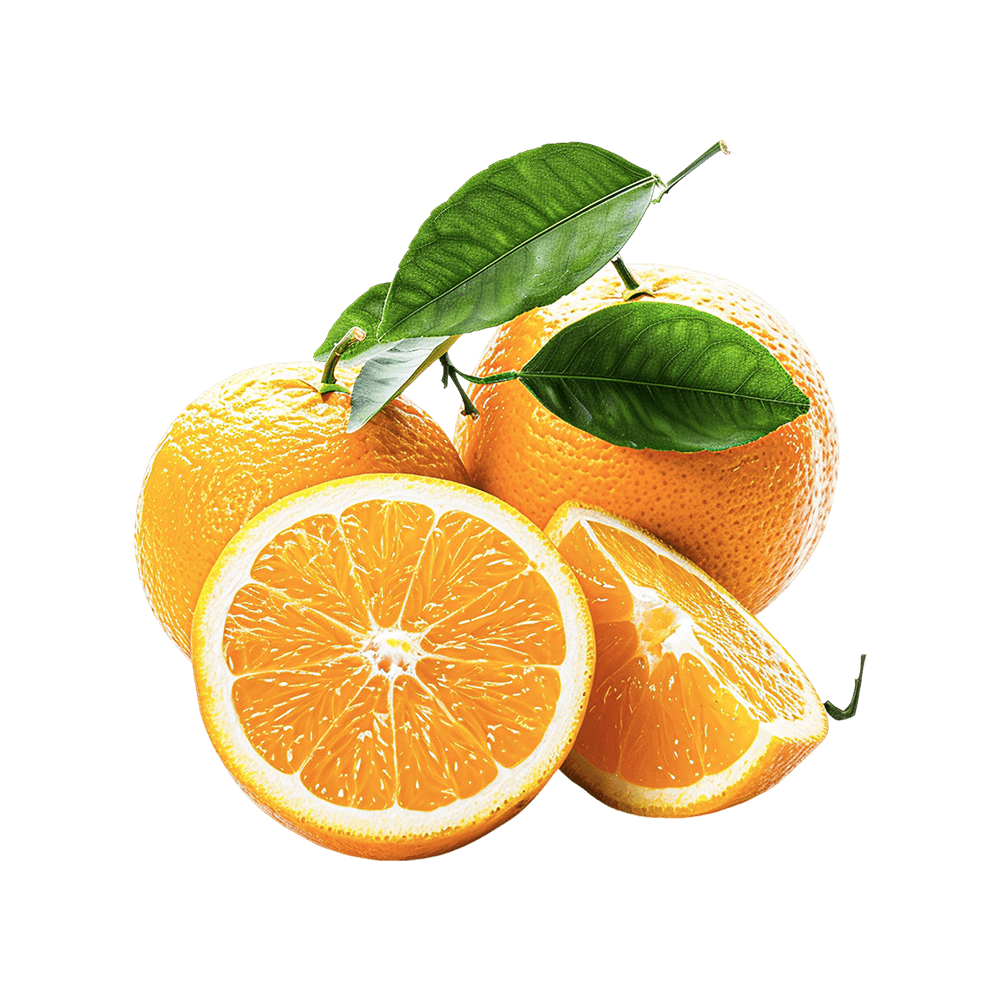 Agro Tini Fresh fruit and vegetables for export – Agro Tini Fresh fruit ...